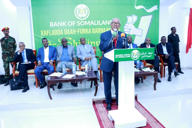Somaliland Government Introduces Electronic Payment System for ...