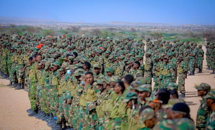 Colaadda beelaha ee ka aloosan Somaliland oo samaayn ku yeelatay ...
