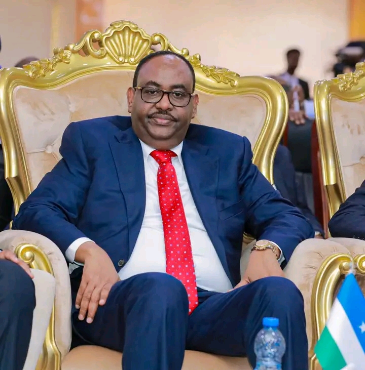 The National Consultative Conference for Somalia and Persistent ...