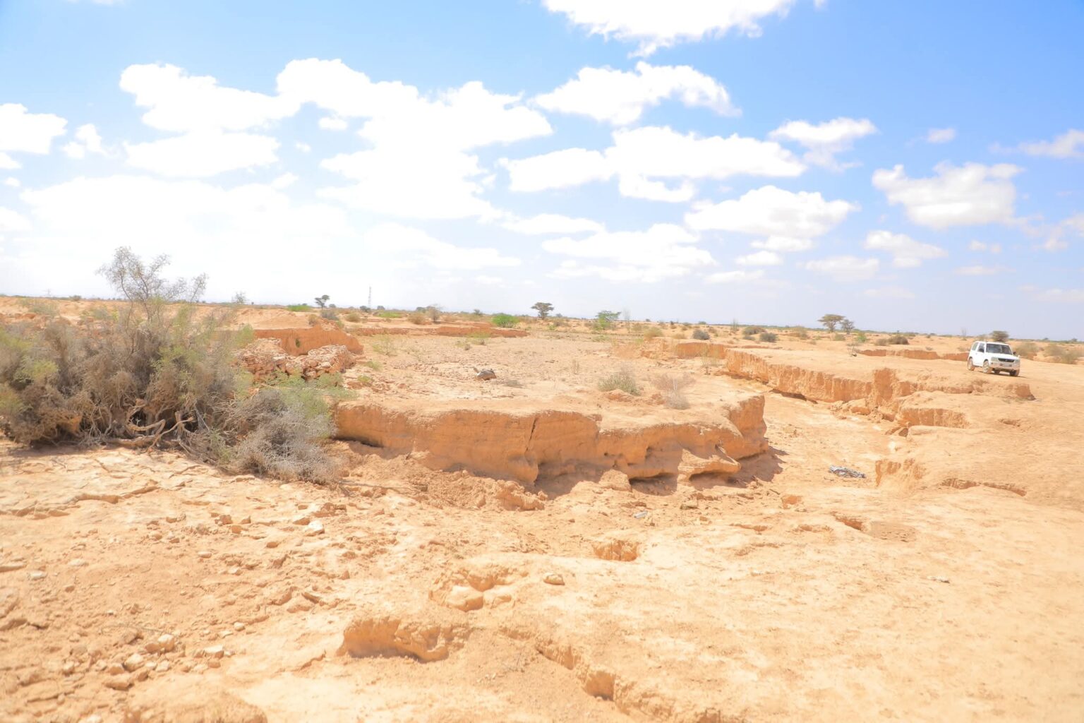 Dhibaatooyin ka jira dooxada Dharoor ee gobolka Bari – Puntland Post